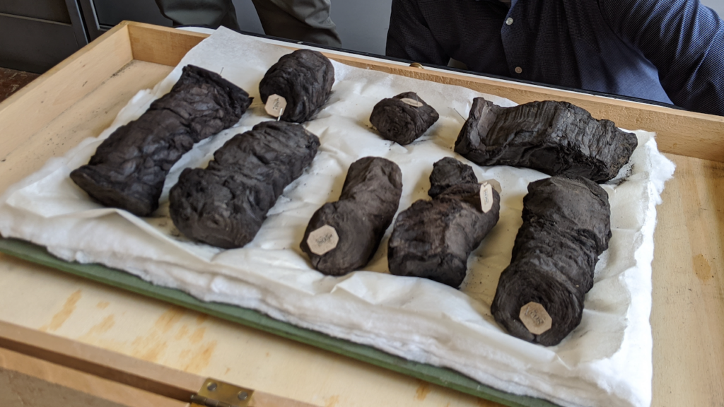 Unlost - Recovering the Text of Burnt and Carbonized Scrolls - Reading ...