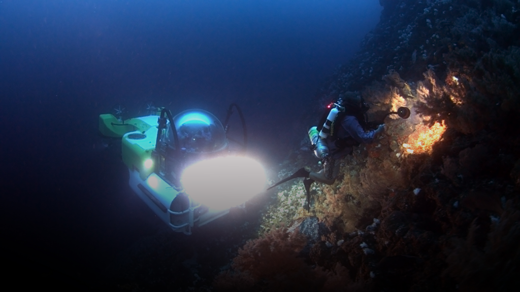 Diving Deep into Biodiversity - Leveraging the Latest Technology to ...